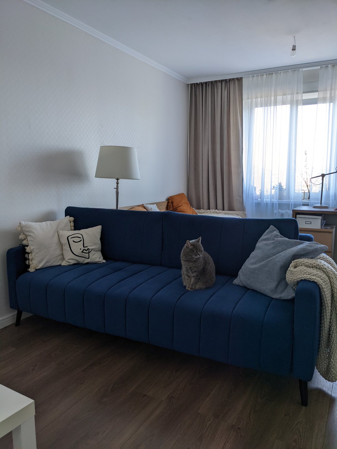 Диван Маркфул Barhat Blue – купить в Москве по цене 60 990 рублей в ...